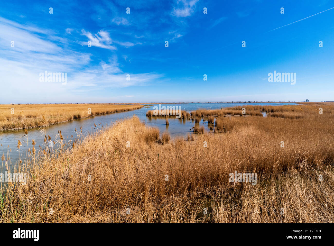 Ebro delta hi-res stock photography and images - Alamy