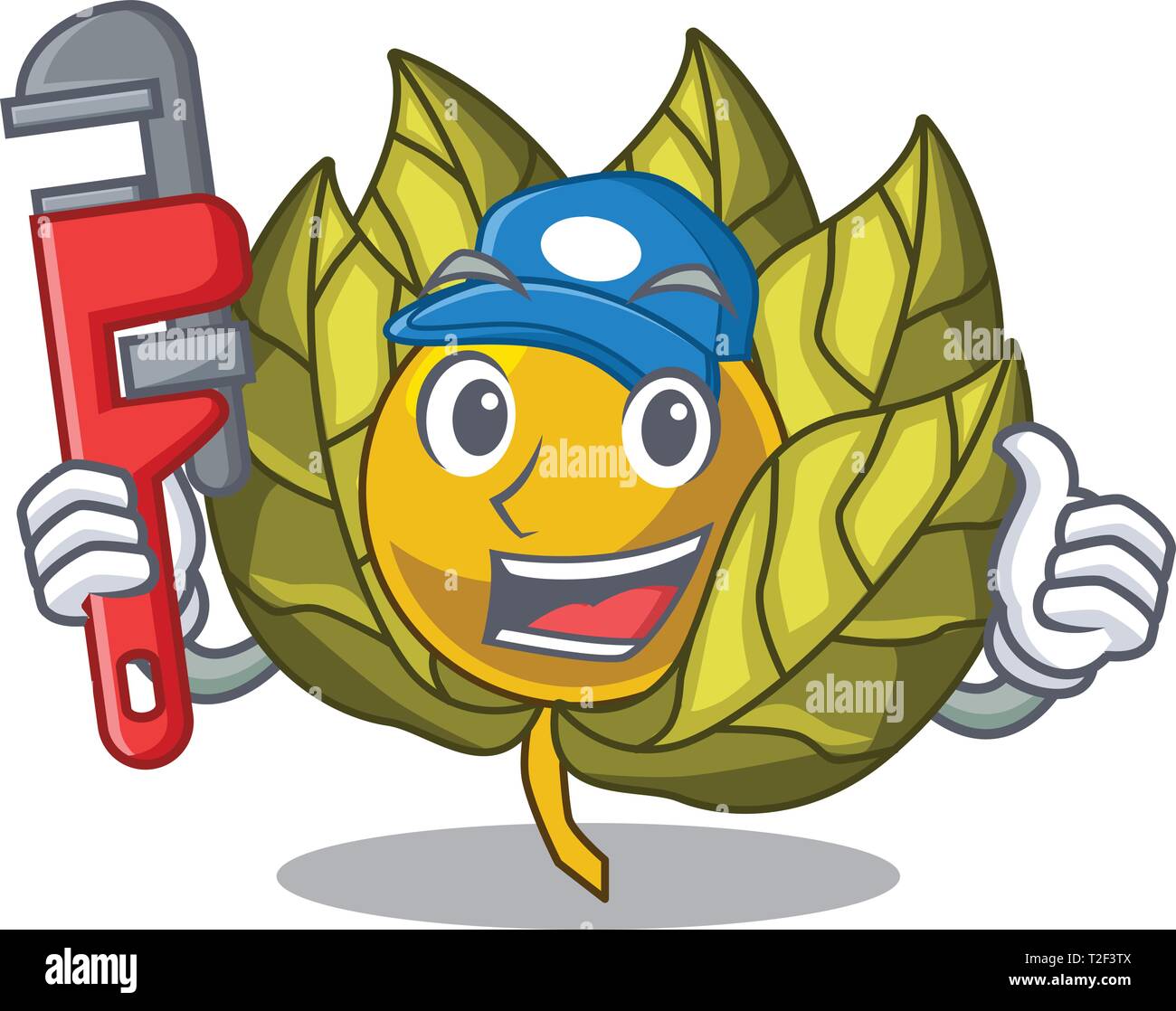 Plumber physalis fruit in the cartoon shape vector illustration Stock ...