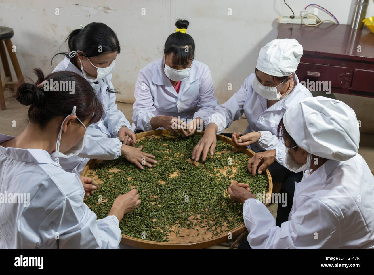 Tea Laboratory High Resolution Stock Photography and Images - Alamy