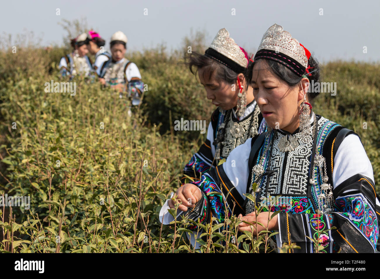 Yiliang, China - March 24, 2019: Black Yi people dressed in a ...