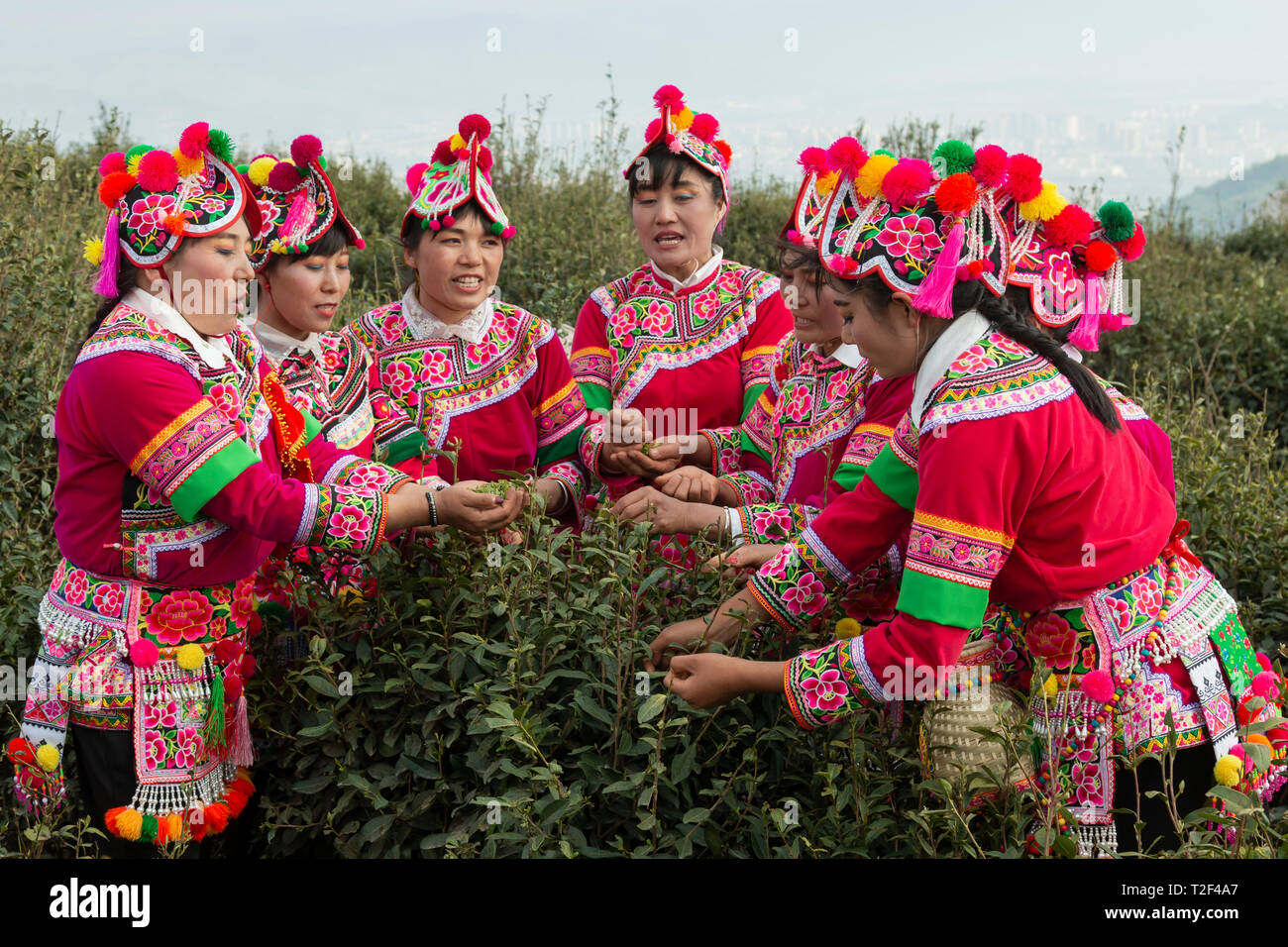 Yiliang, China - March 24, 2019: White Yi women dressed in a ...