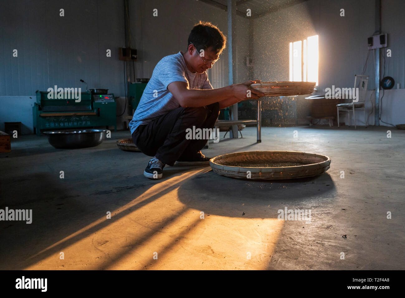Tea laboratory hi-res stock photography and images - Alamy