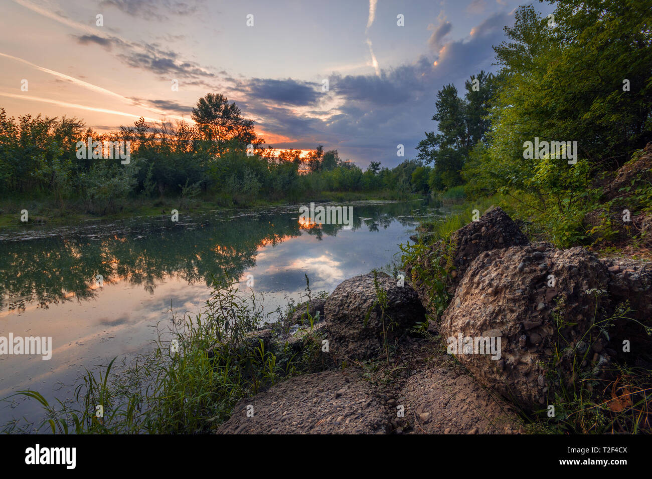 Pond surrounded by trees hi-res stock photography and images - Alamy