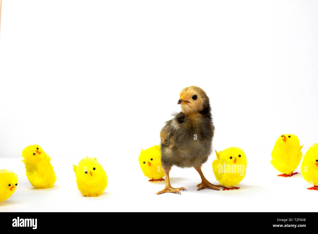 Real difference hi-res stock photography and images - Alamy