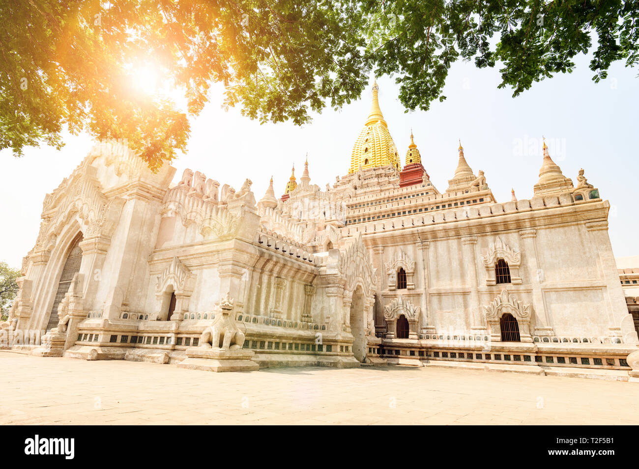 Stunning view of the beautiful Ananda Temple framed by a green tree ...