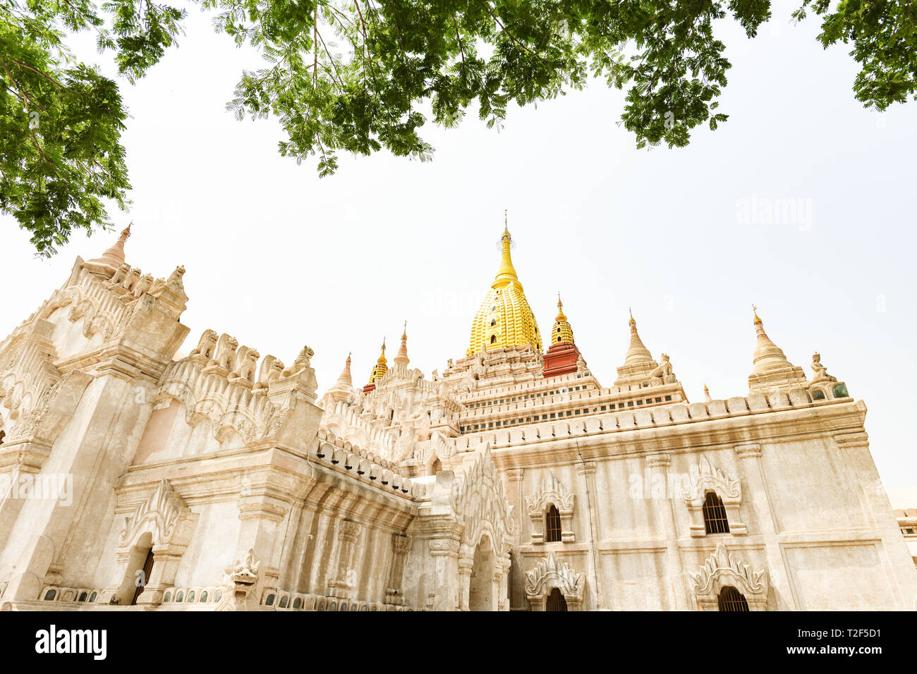 Stunning view of the beautiful Ananda Temple framed by a green tree ...