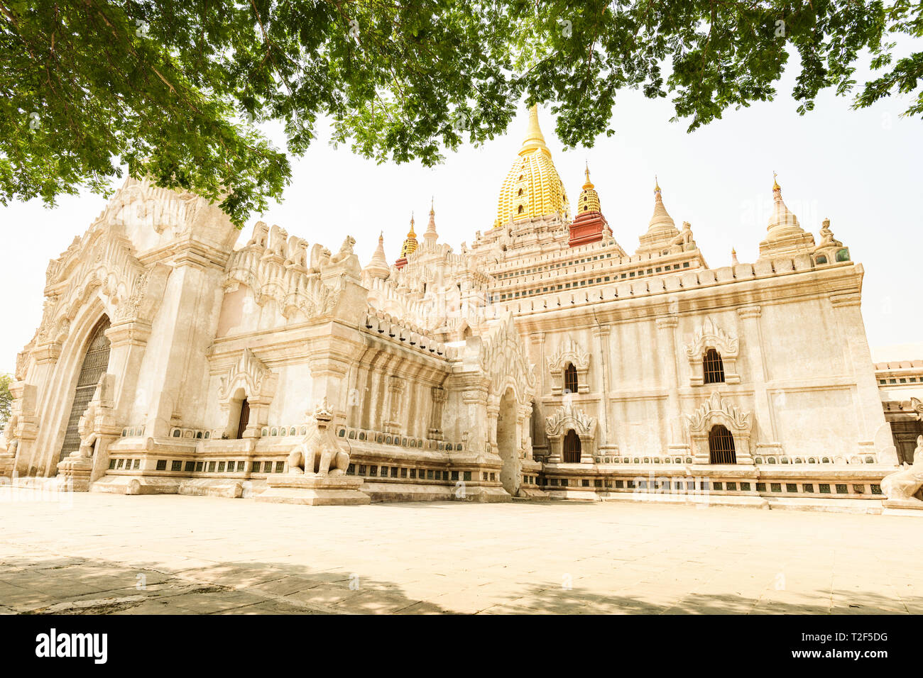 Stunning view of the beautiful Ananda Temple framed by a green tree ...
