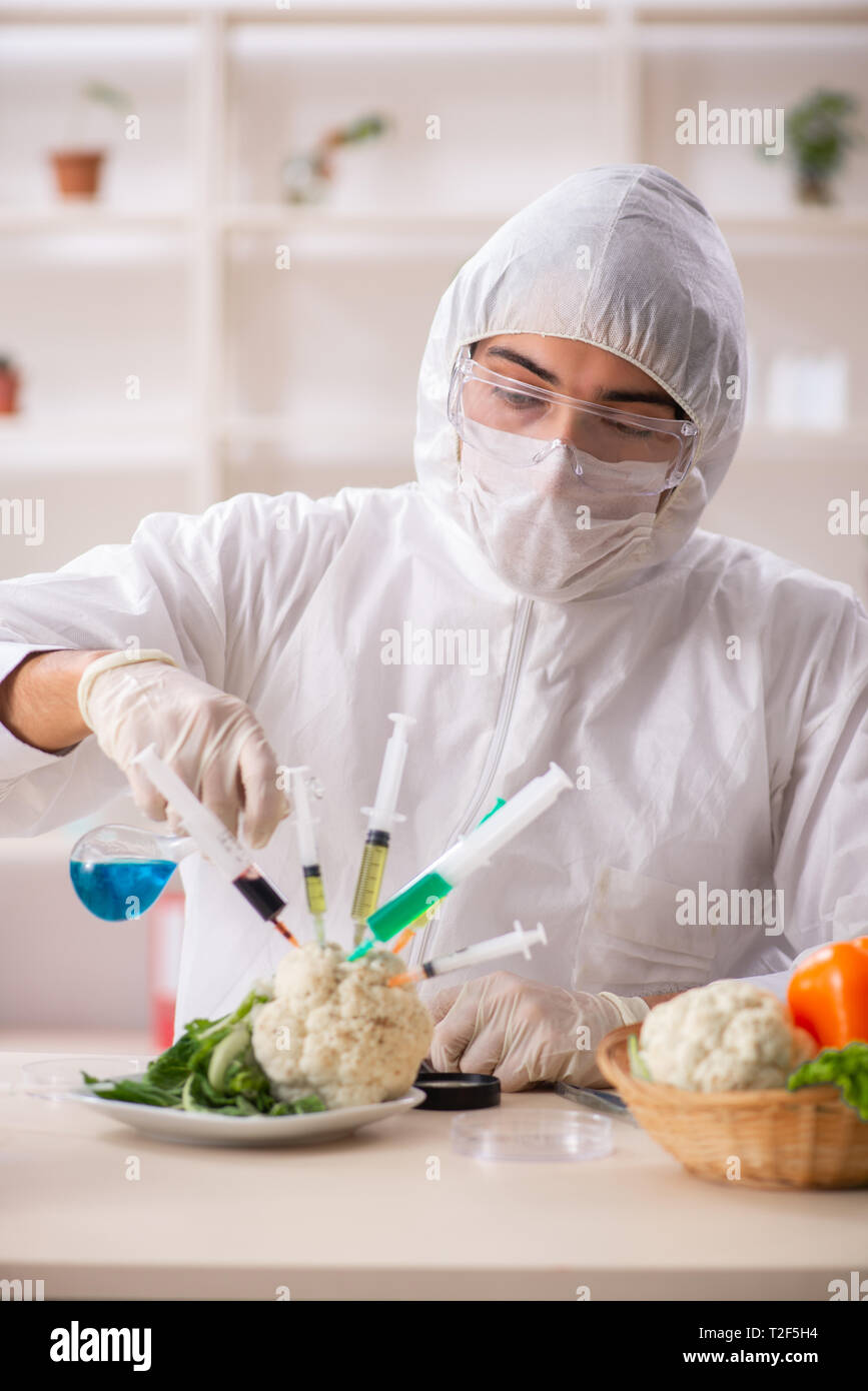 Scientist working in lab on GMO fruits and vegetables Stock Photo - Alamy
