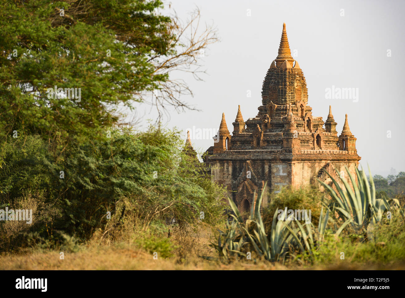 Stunning view of one of the many temples in Bagan (formerly Pagan ...