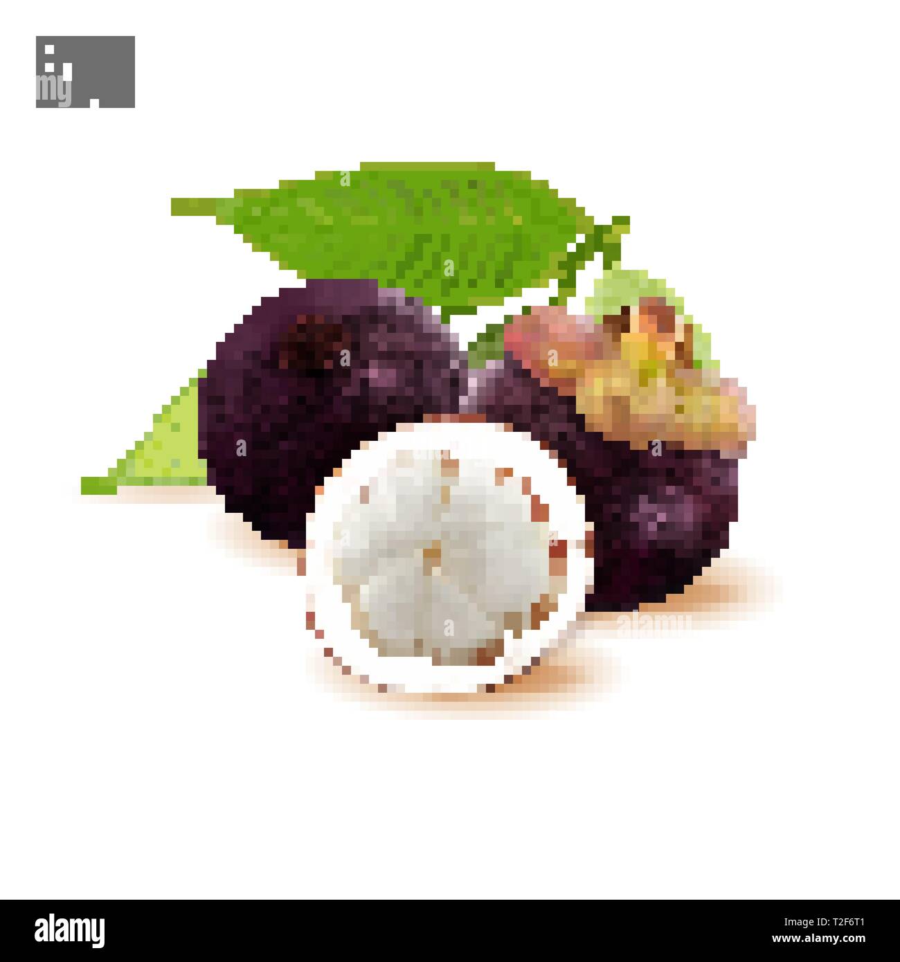 Vector Tropical fruit. Mangosteen with green leaves isolated on white ...