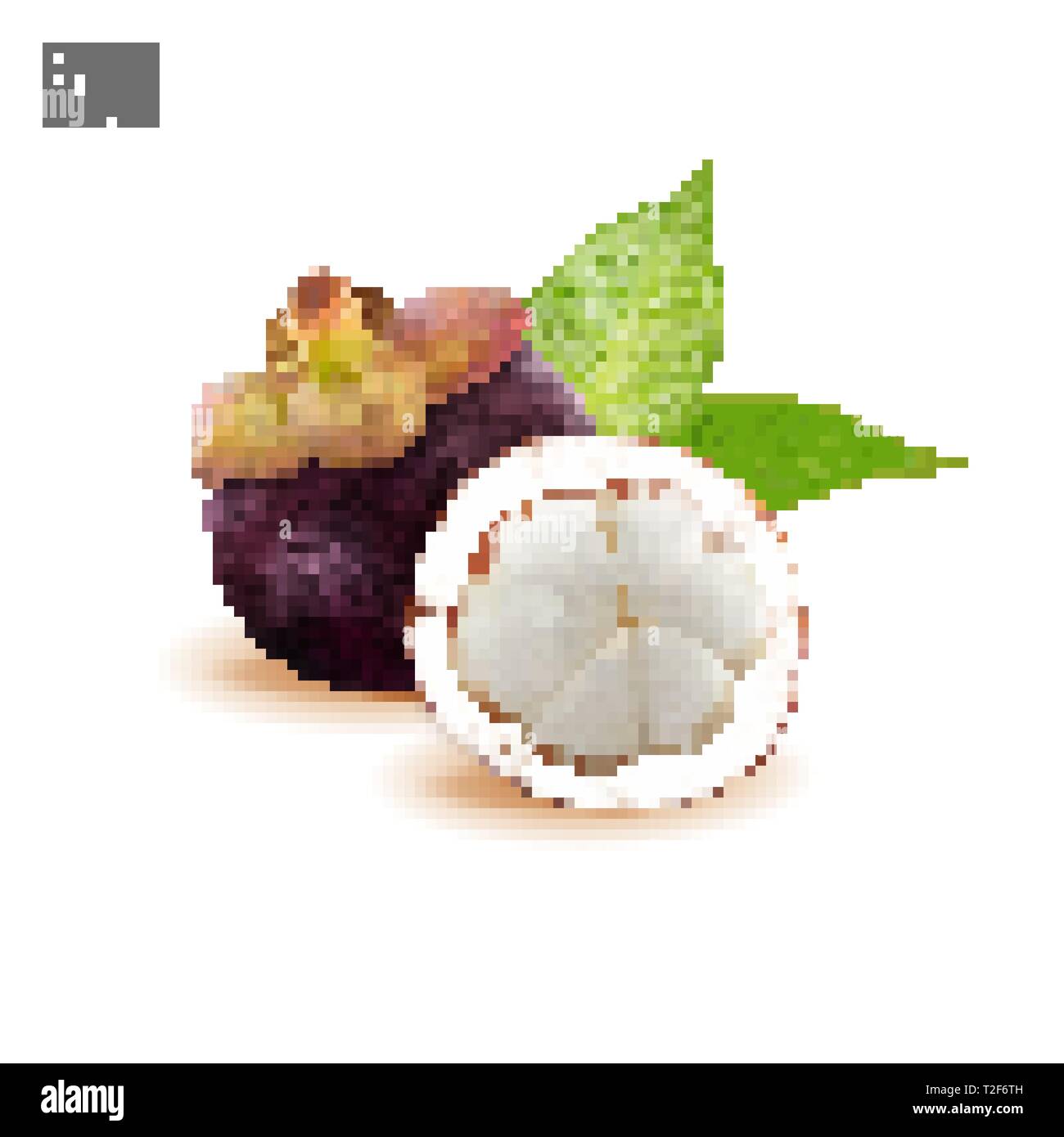 Vector Tropical fruit. Mangosteen with green leaves isolated on white ...
