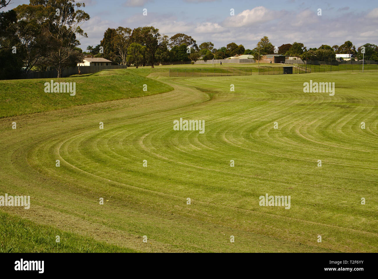 Striped green grass texture perspective hi-res stock photography and ...