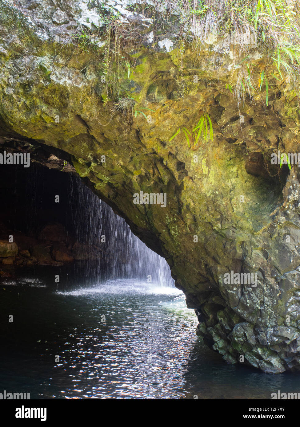 Natural Bridge Springbrook National Park Stock Photo - Alamy