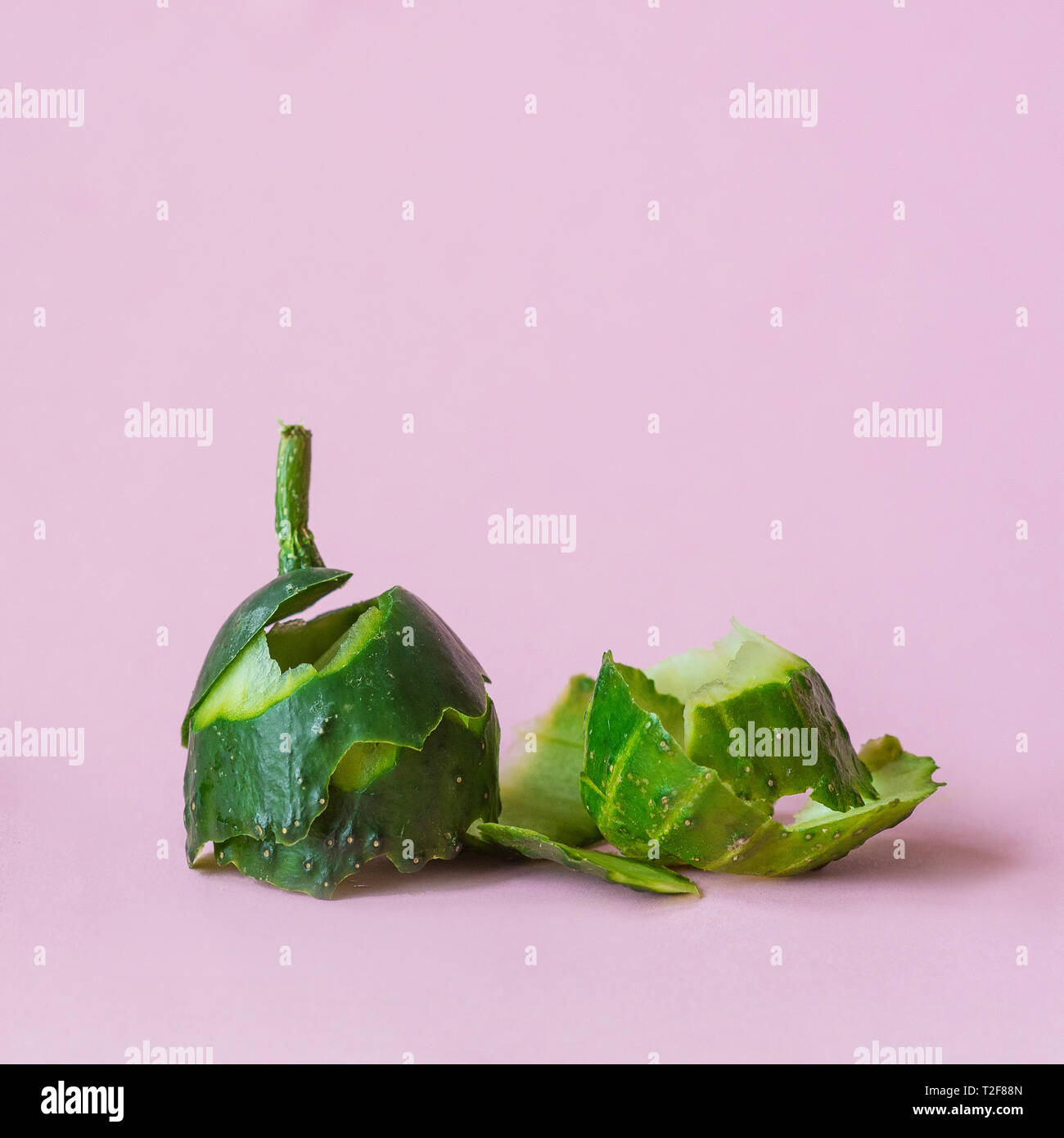 cucumber peel on pink background as a symbol of recycling circulate ...