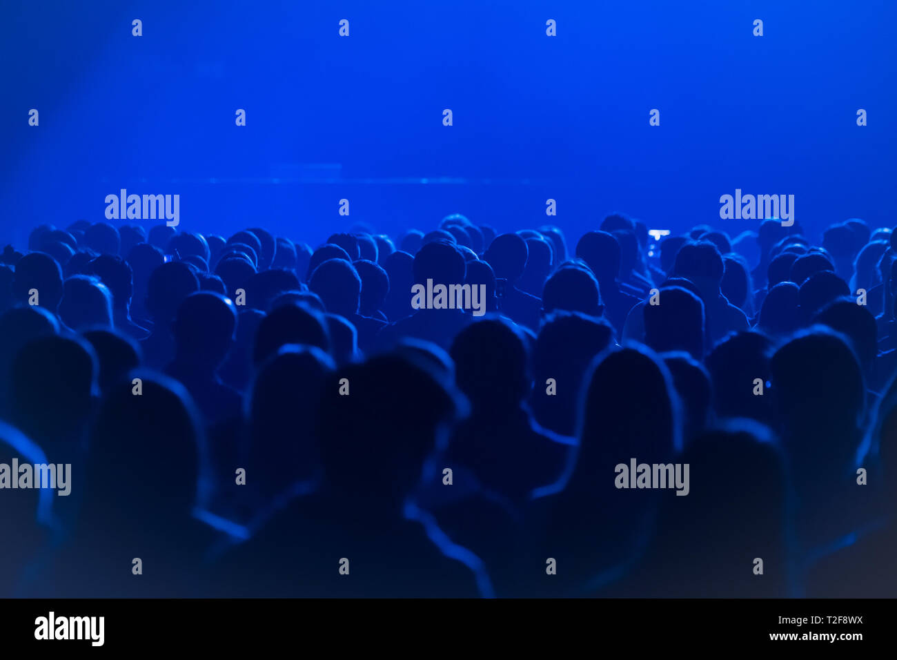 Audience listens to the lecturer at the business conference, back view ...
