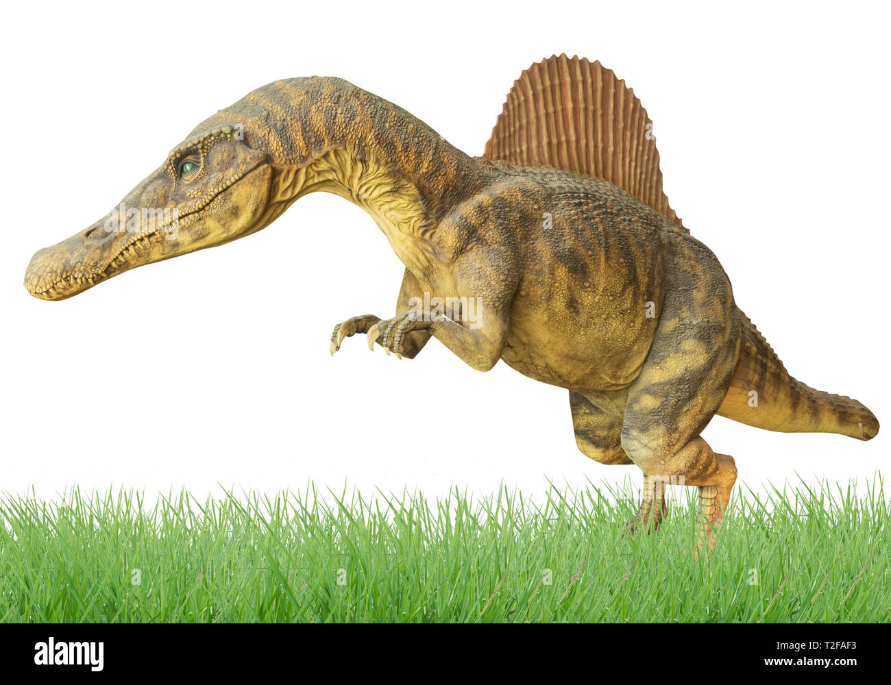 Dinosaurs in the meadow, isolated on a white background Stock Photo - Alamy