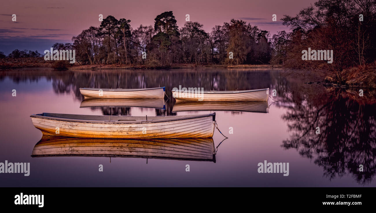 Rusky hi-res stock photography and images - Alamy