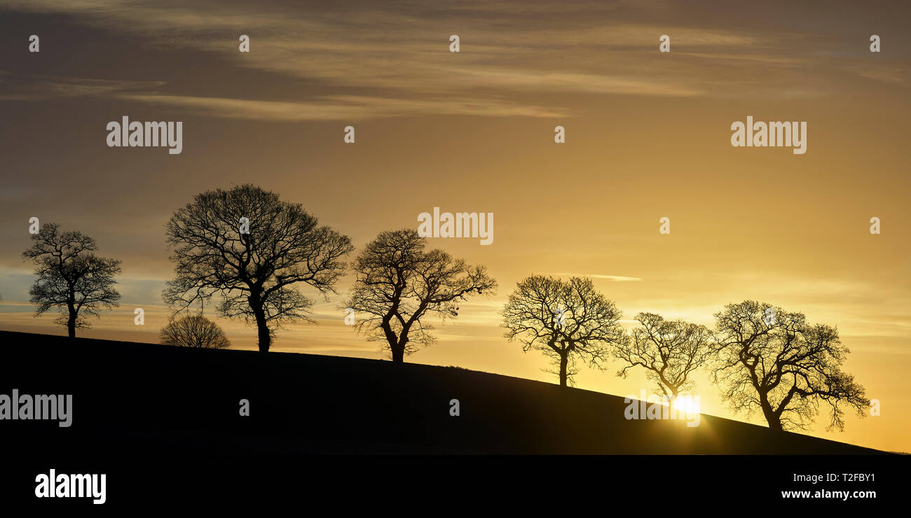 Row line hi-res stock photography and images - Alamy