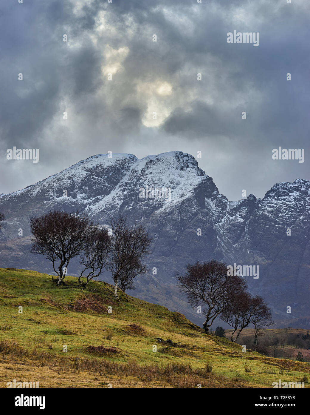 Blaven and Silver Birch trees from near Torrin, Isle of Skye, Scotland ...