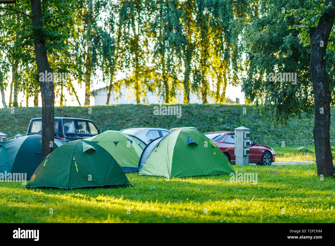 Tents Camping area in beautiful natural place with trees and green ...
