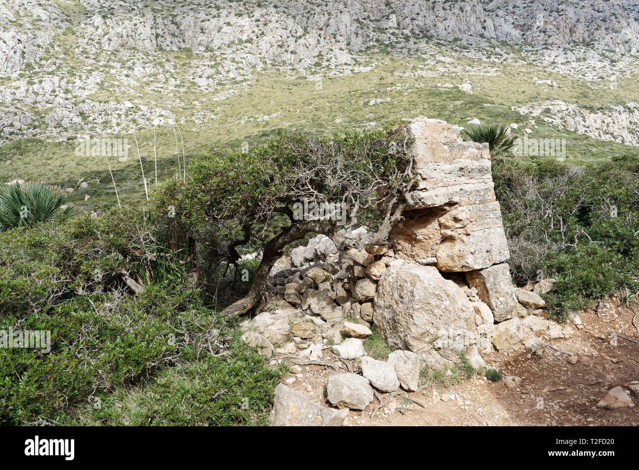 Stone Heap in an Valley of Serra de Tramuntana Stock Photo - Alamy