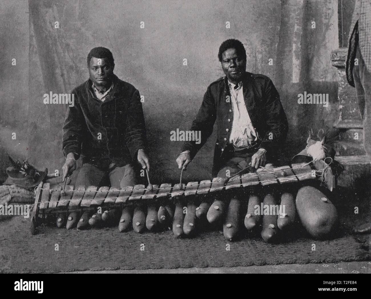 Africa kaffir hi-res stock photography and images - Alamy