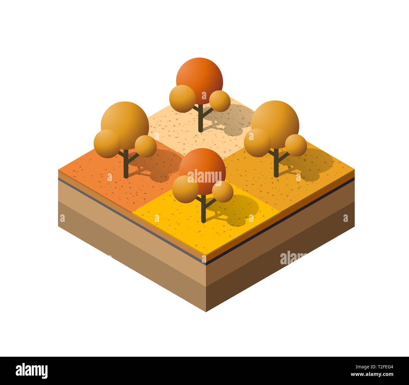 Isometric autumnal forest with trees, fir and bushes. Autumn time of ...