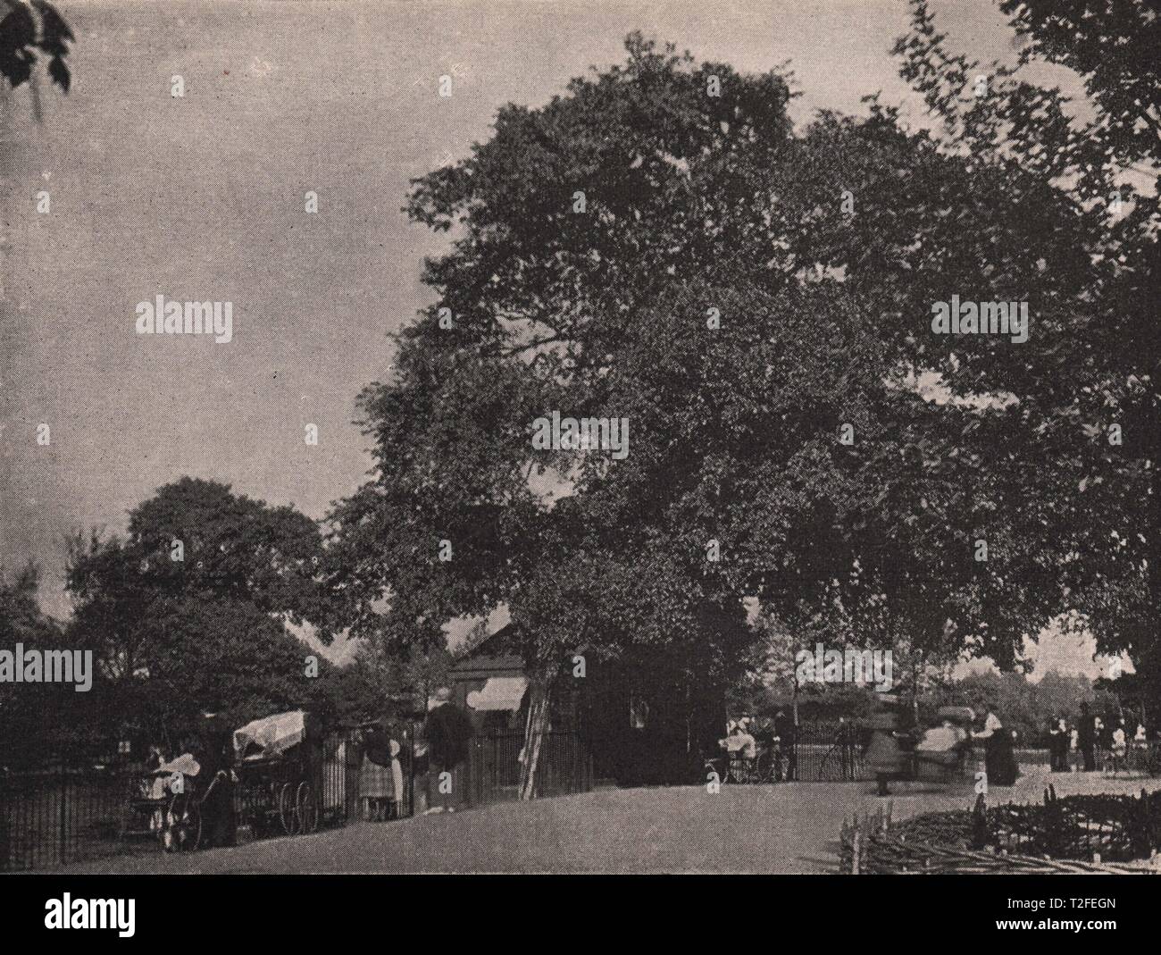 Wanstead park hi-res stock photography and images - Alamy