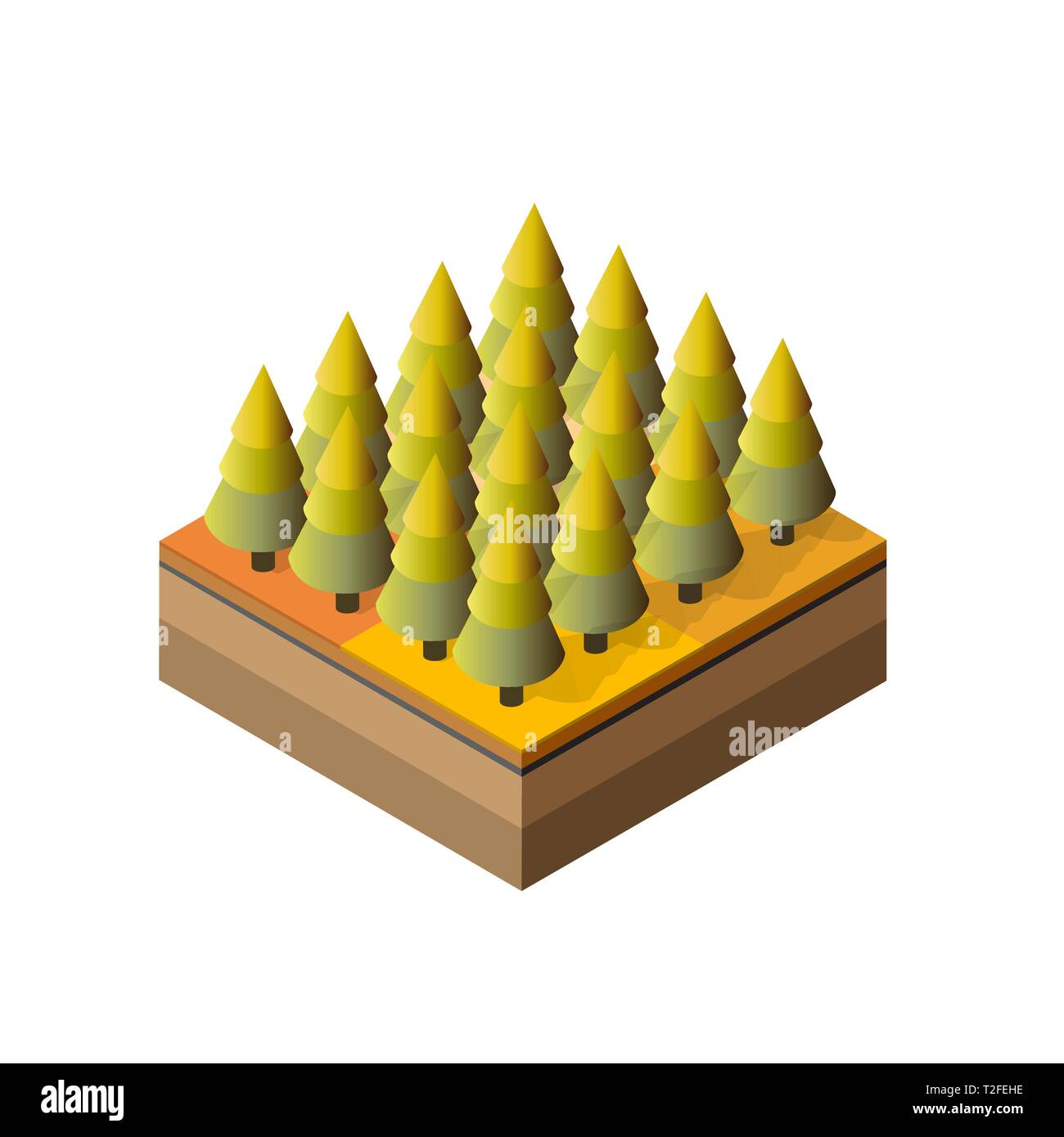 Isometric autumnal forest with trees, fir and bushes. Autumn time of ...