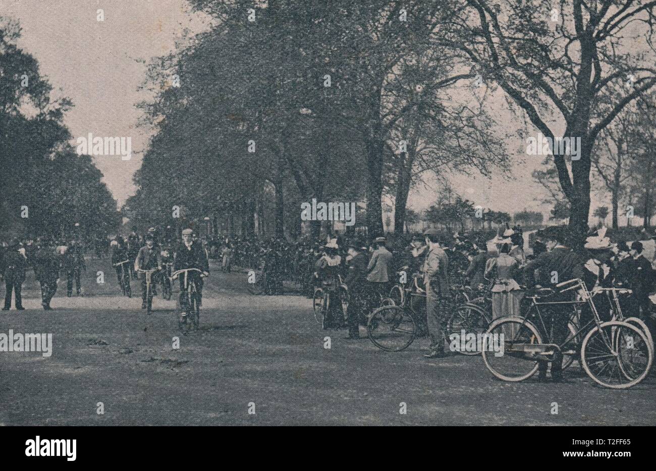 Rotten Row. - Hyde Park Stock Photo - Alamy