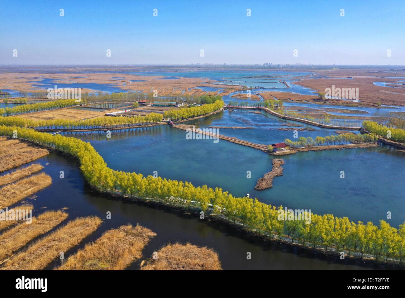 Baiyangdian hi-res stock photography and images - Alamy