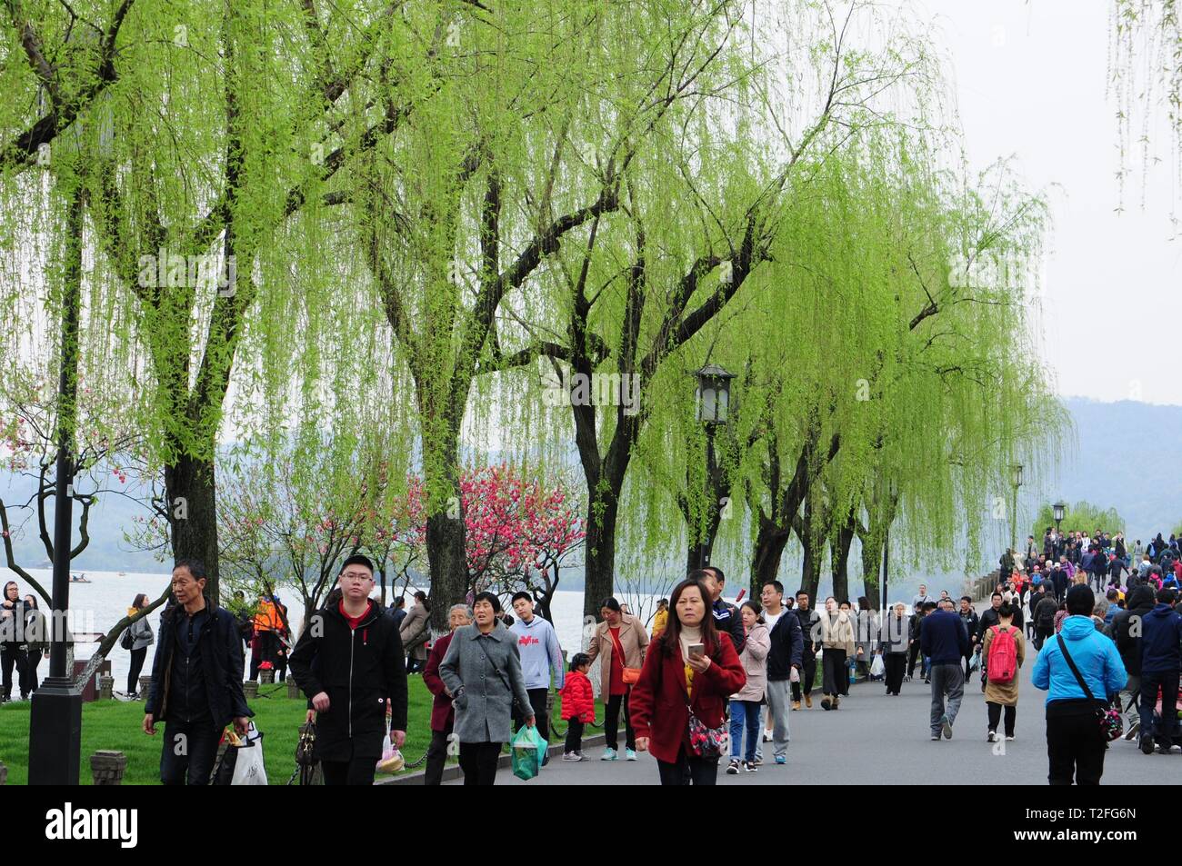 Hangzhou, Hangzhou, China. 31st Mar, 2019. Hangzhou, CHINA-Spring ...