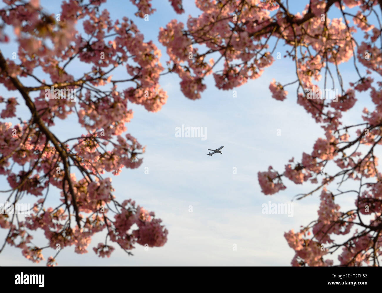 Tidal plane hi-res stock photography and images - Alamy