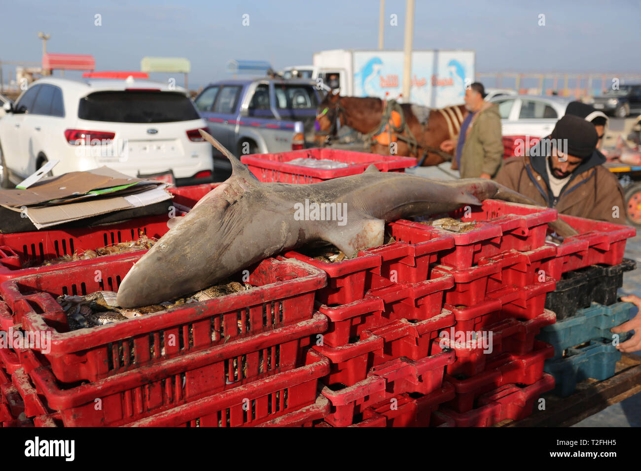 Gaza City, Gaza Strip, Palestinian Territory. 2nd Apr, 2019 ...