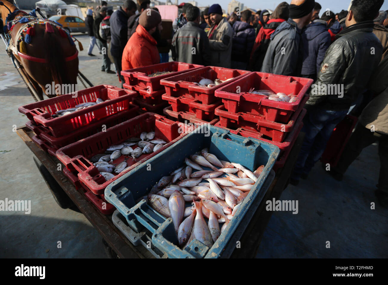 Gaza City, Gaza Strip, Palestinian Territory. 2nd Apr, 2019 ...