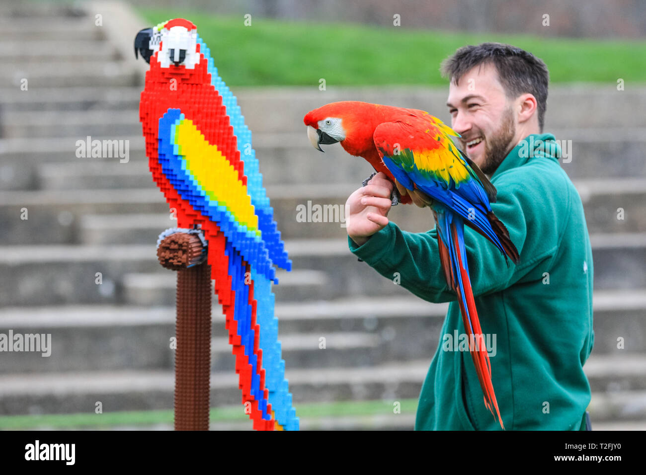 Whipsnade Zoo, Bedfordshire, UK. 2nd Apr, 2019. Inca the Scarlet macaw ...
