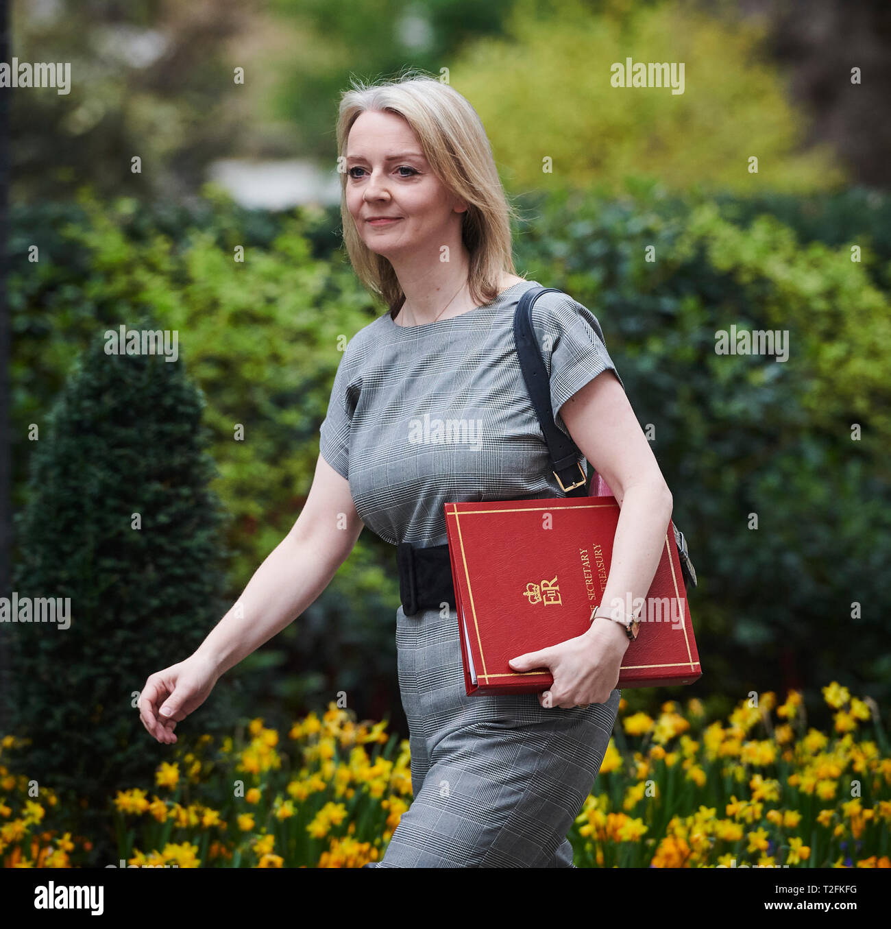 Elizabeth truss chief secretary to the treasury hi-res stock ...