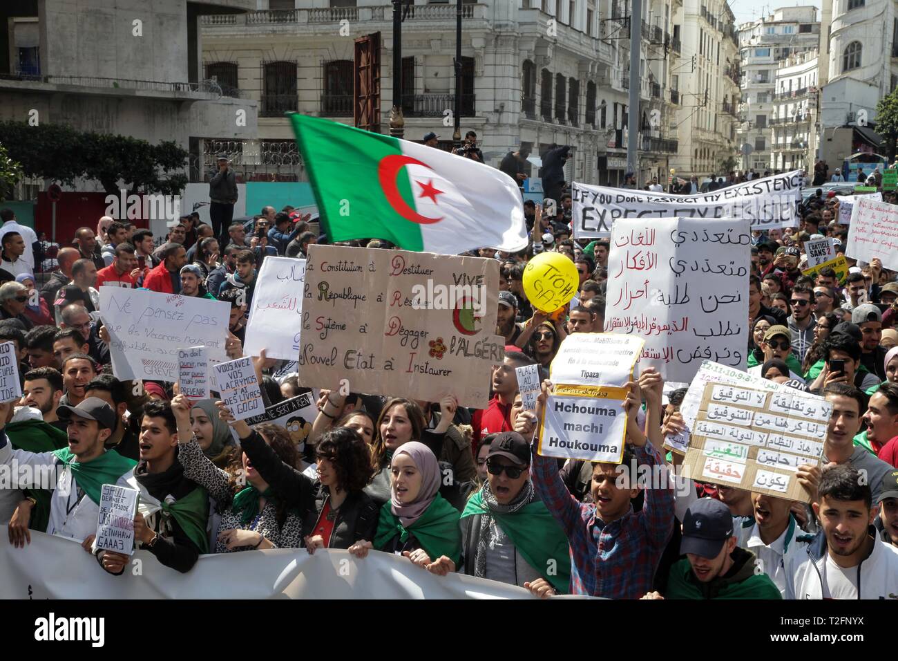 Students algeria hi-res stock photography and images - Alamy