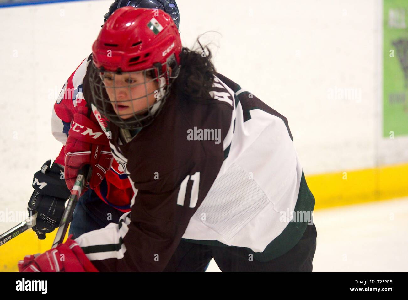 Iihf women's world championship hi-res stock photography and images - Alamy