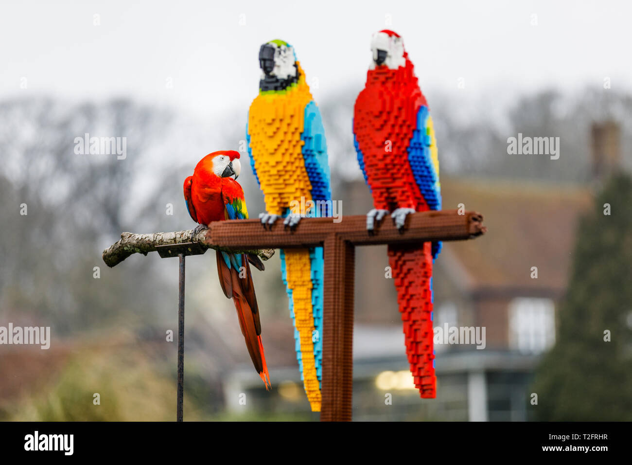 ZSL Whipsnade, UK. 2nd Apr 2019. A life-size sculpture of two colourful ...