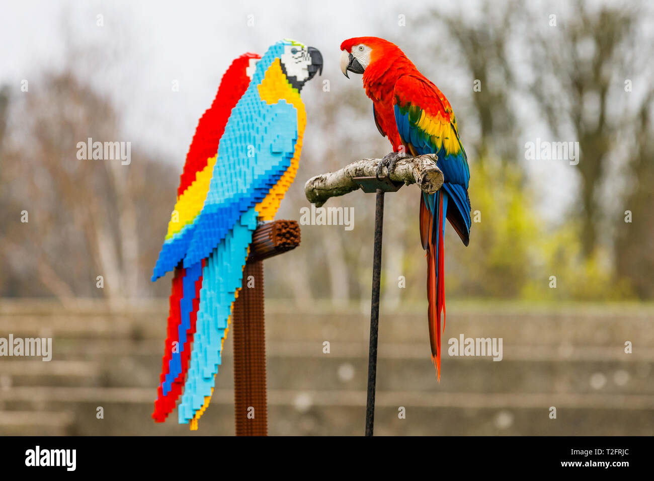 ZSL Whipsnade, UK. 2nd Apr 2019. A life-size sculpture of two colourful ...