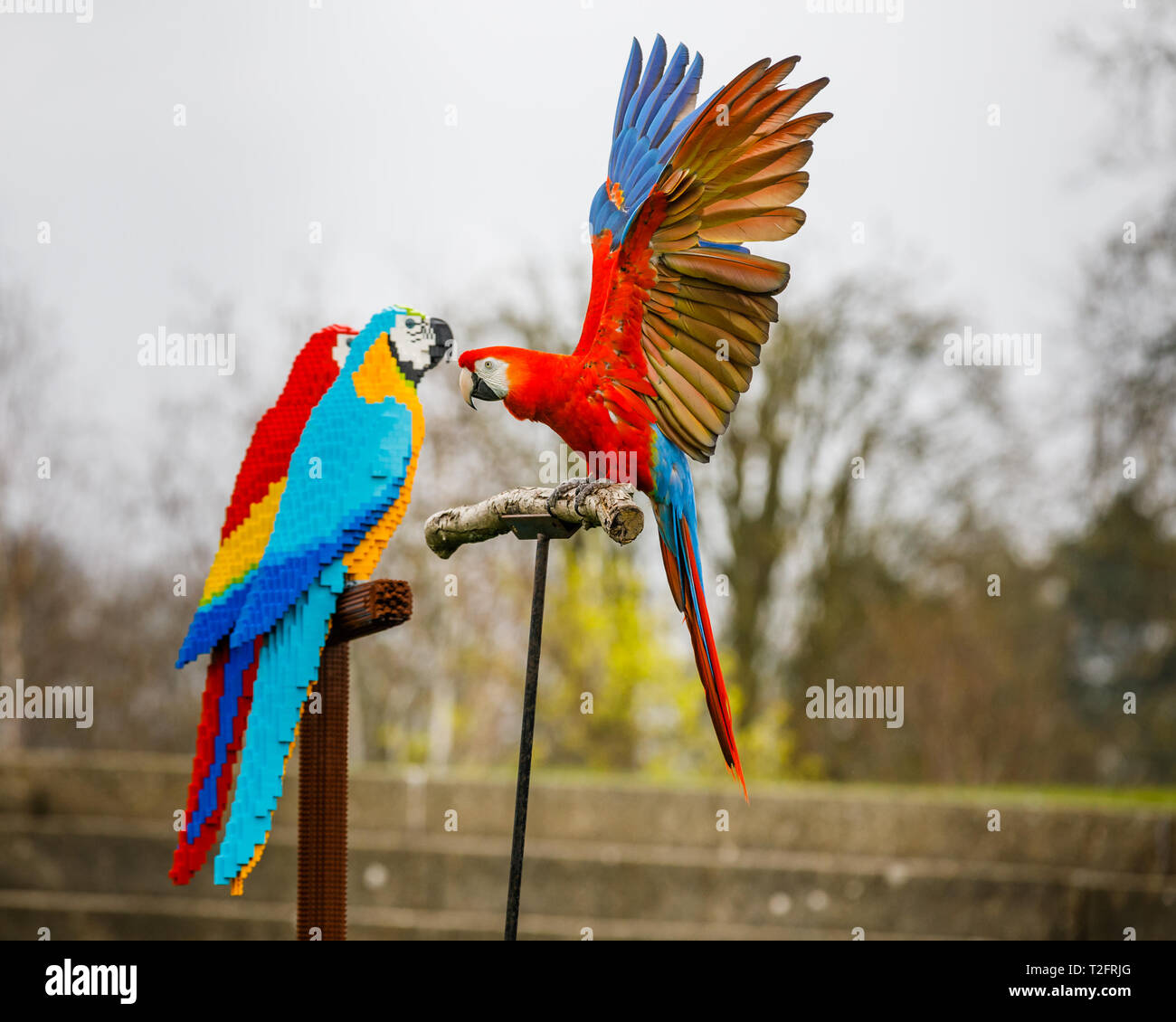 ZSL Whipsnade, UK. 2nd Apr 2019. A life-size sculpture of two colourful ...