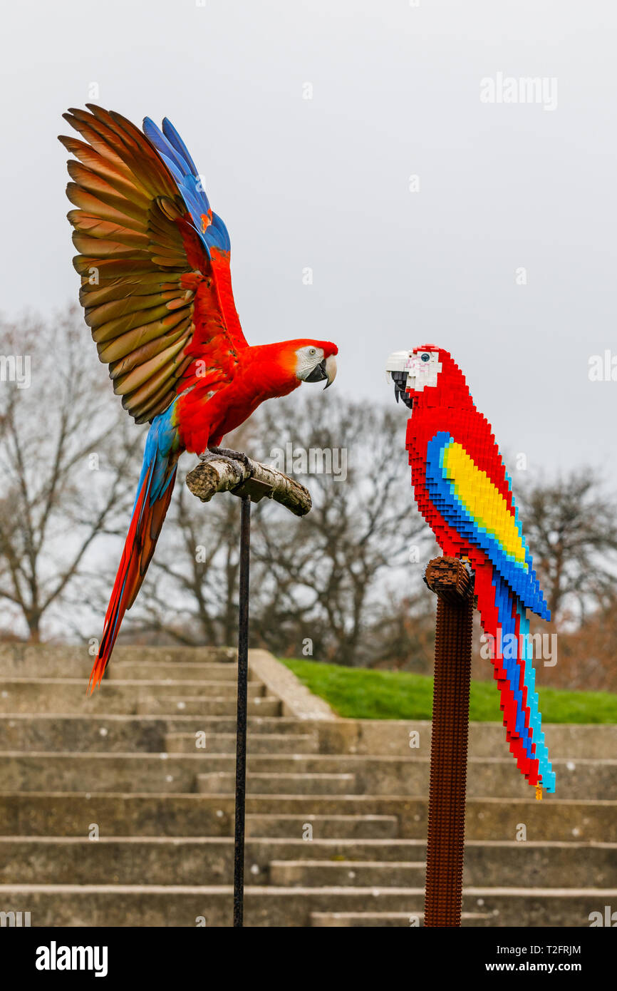 ZSL Whipsnade, UK. 2nd Apr 2019. A life-size sculpture of two colourful ...