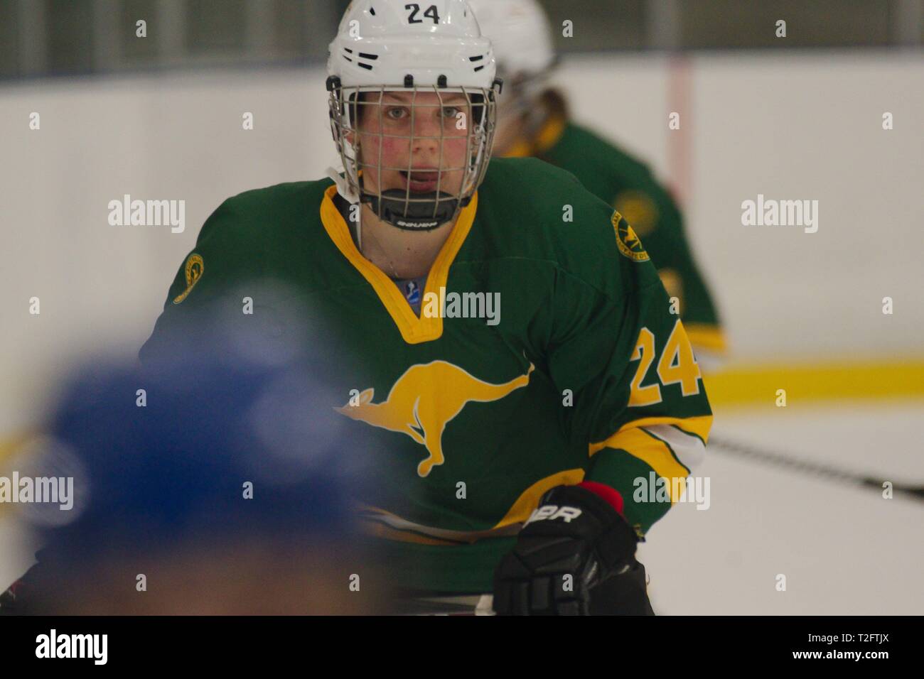Iihf women's world championship hi-res stock photography and images - Alamy