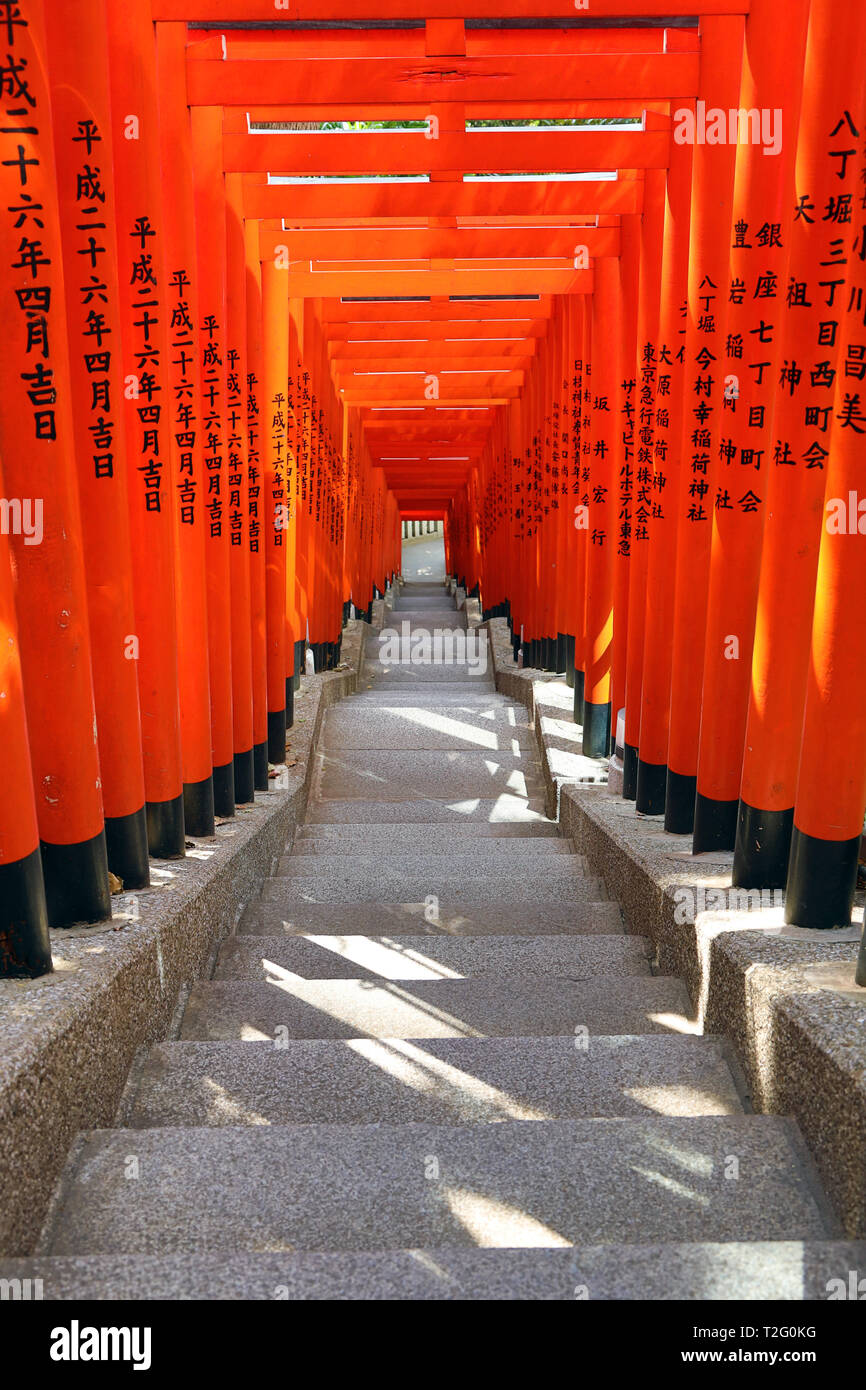 Tunnel of red Torii gates at the Hie Shrine in Asakasa, Tokyo, Japan ...