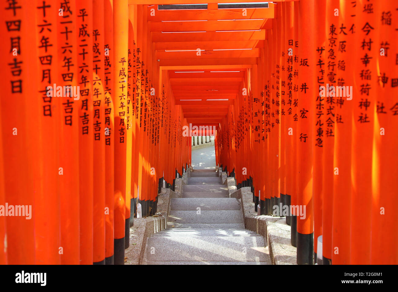 Torii gates hi-res stock photography and images - Alamy