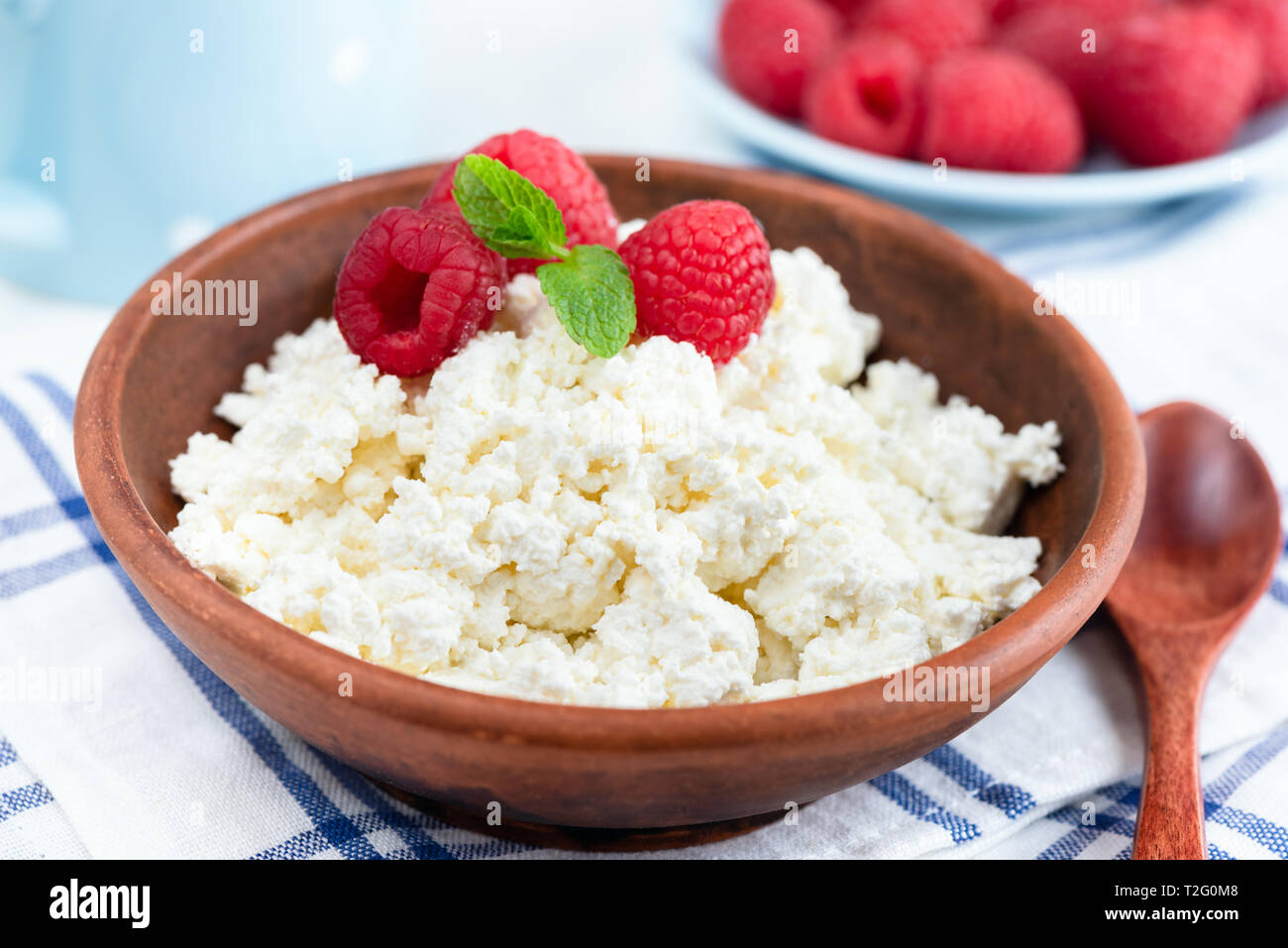 Tvorog or cottage cheese or curd cheese in bowl topped with fresh ...