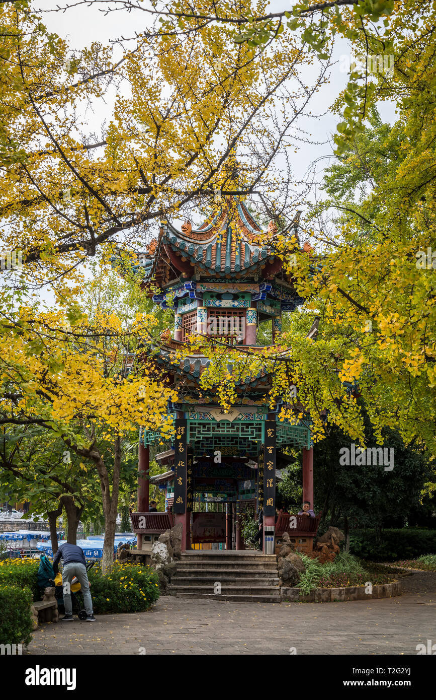 Pavilion in Green Lake Park, or Cuihu Park, Kunming, Yunnan province ...