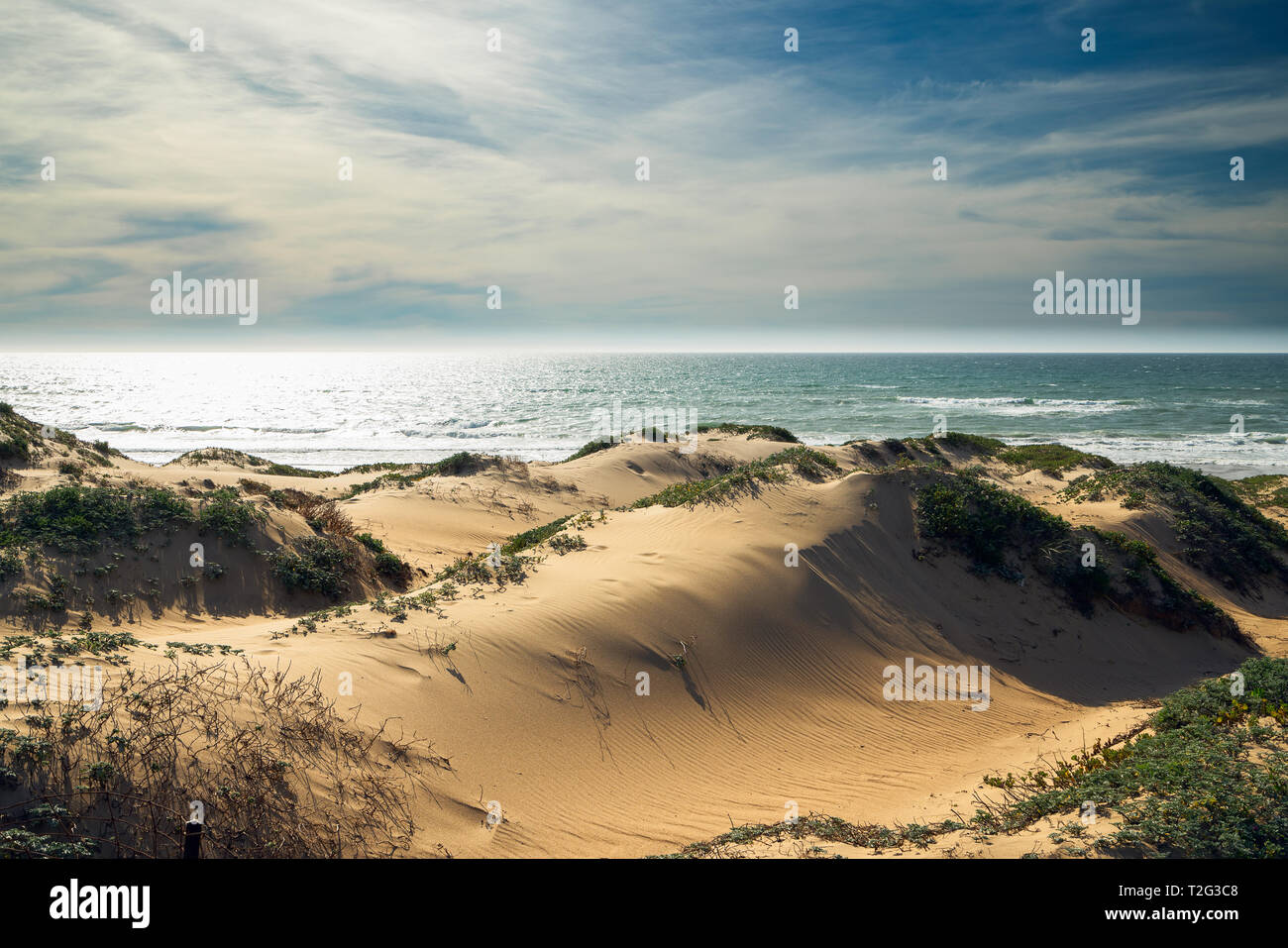 Ocean Sand Dunes California