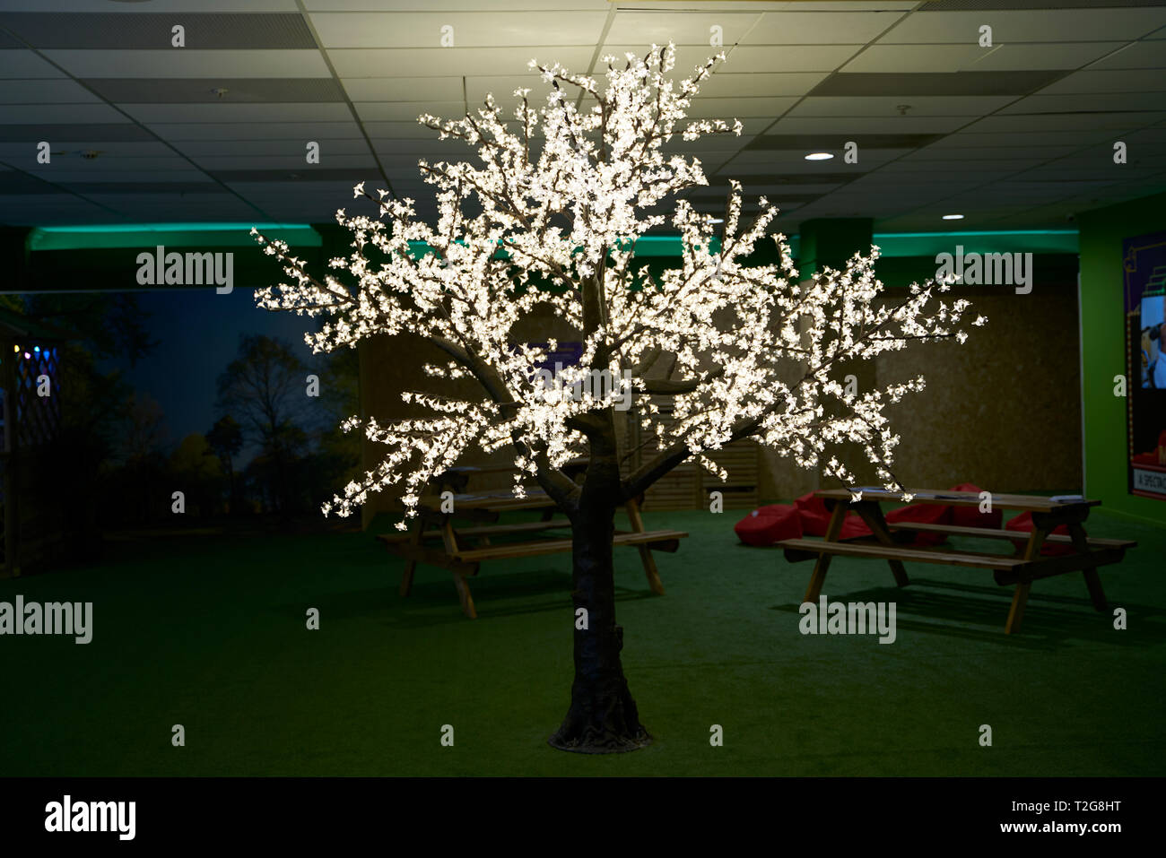 Plastic tree hi-res stock photography and images - Alamy